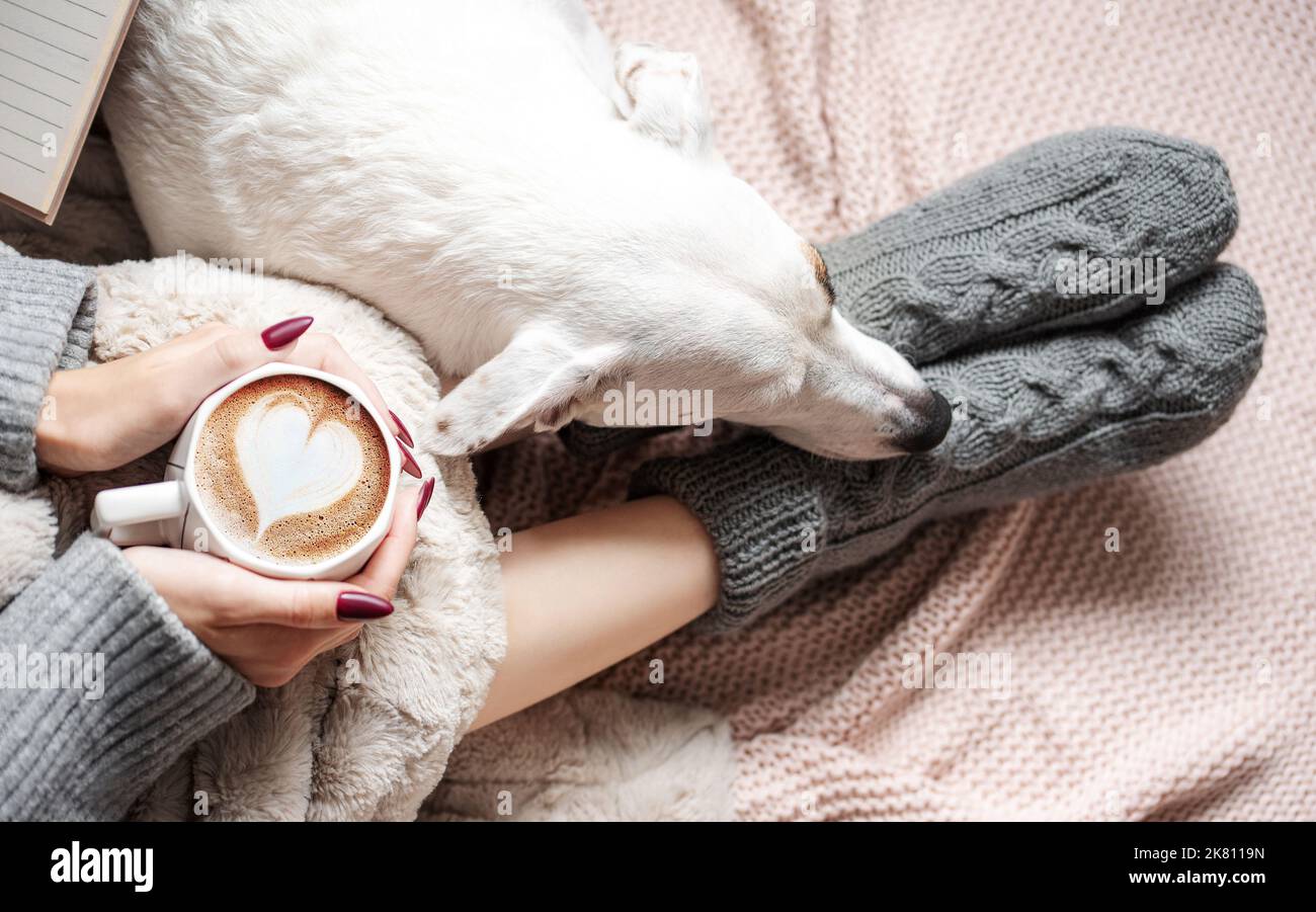Cozy home, woman covered with warm blanket, drinks coffee, sleeping dog ...