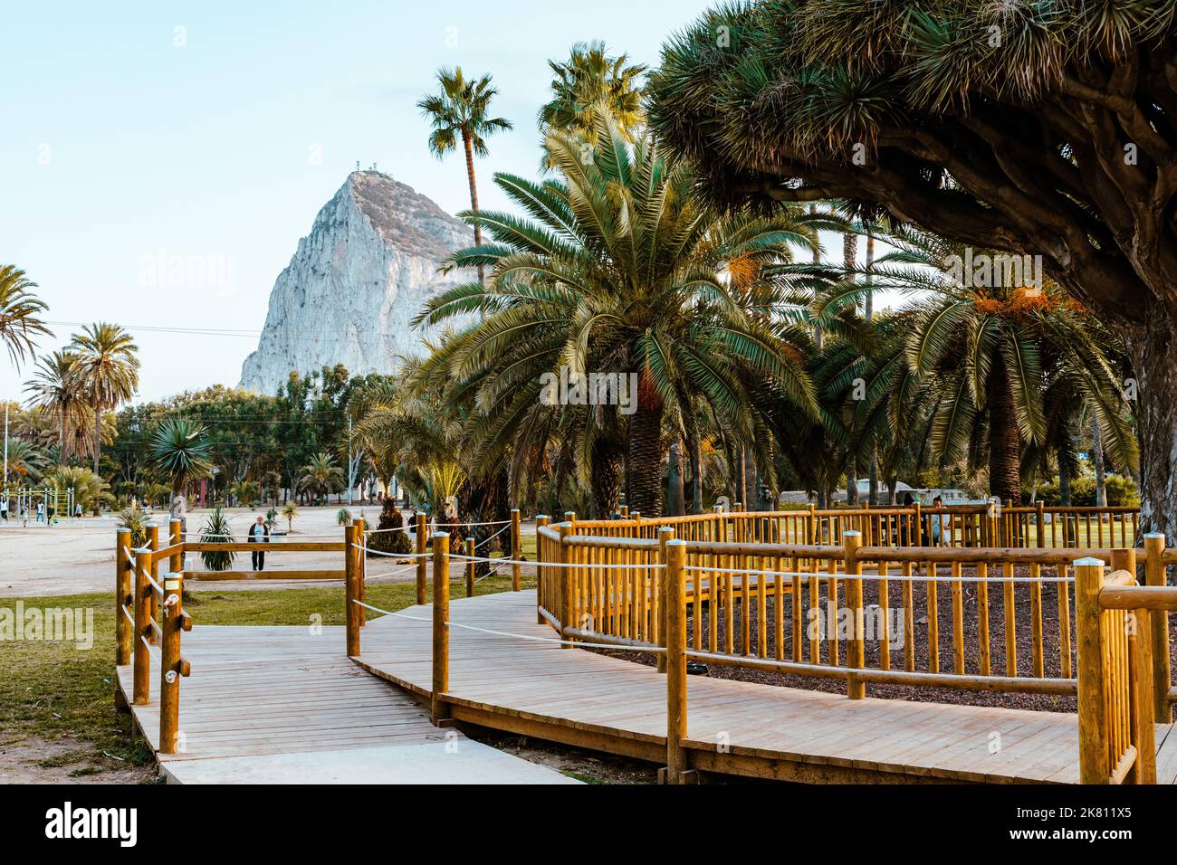 Rock of Gibraltar, view from La Línea de la Concepción. Famous Tree ...