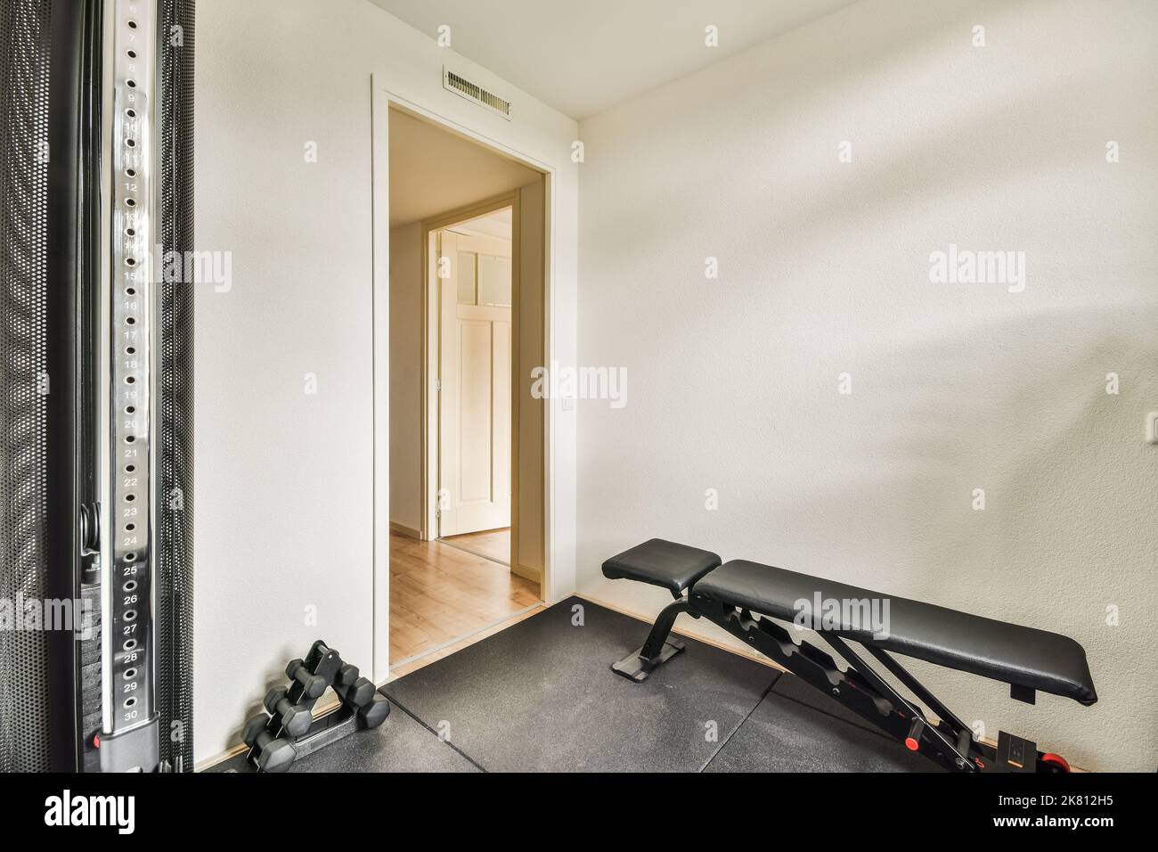 Home Gym Design on wooden floor near window in spacious light room at ...