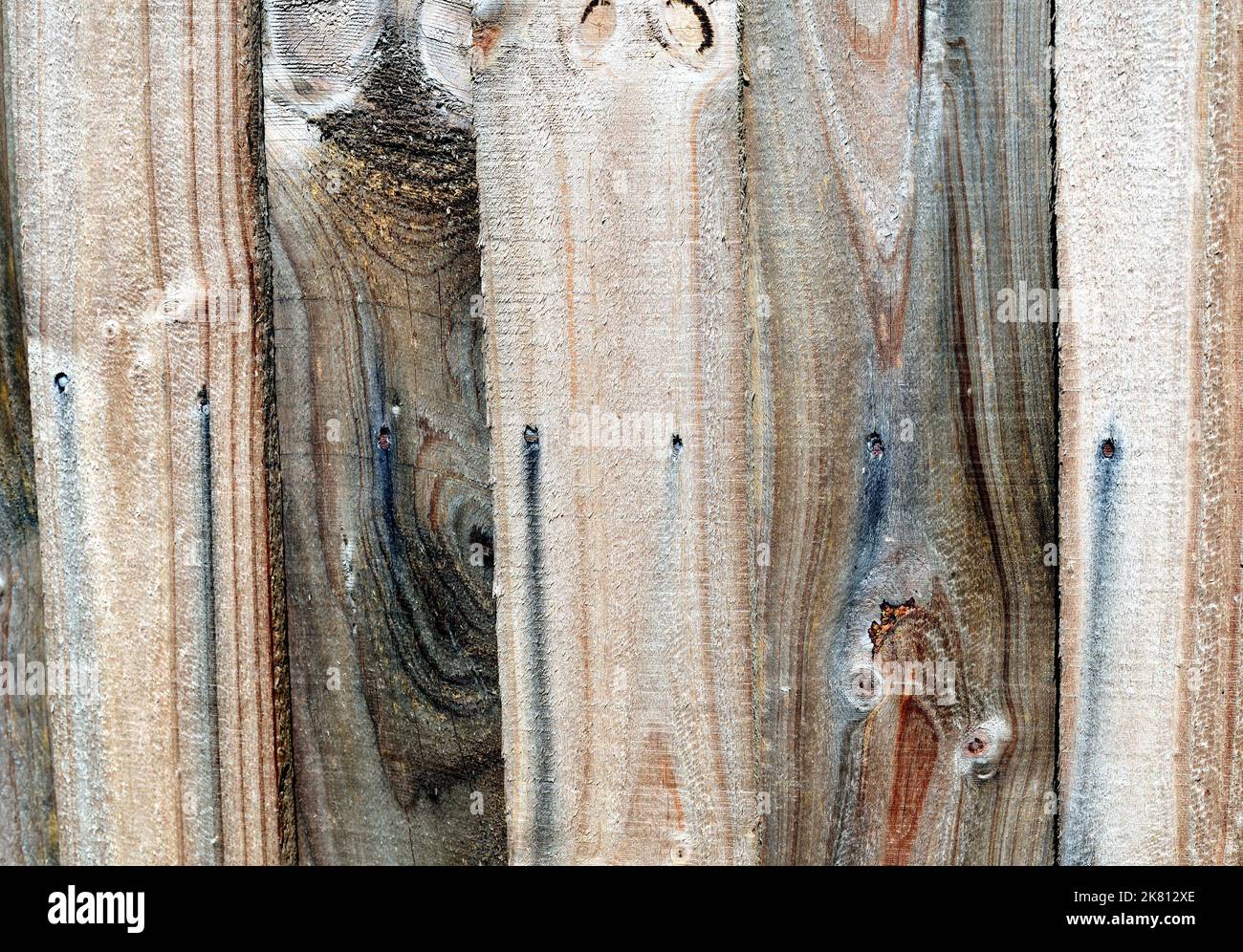 Timber fence palings Stock Photo - Alamy