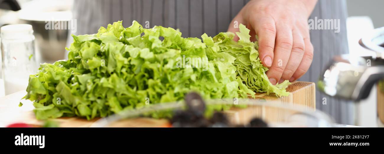 Chef hands cutting green fresh lettuce ingredient, person chopping ...
