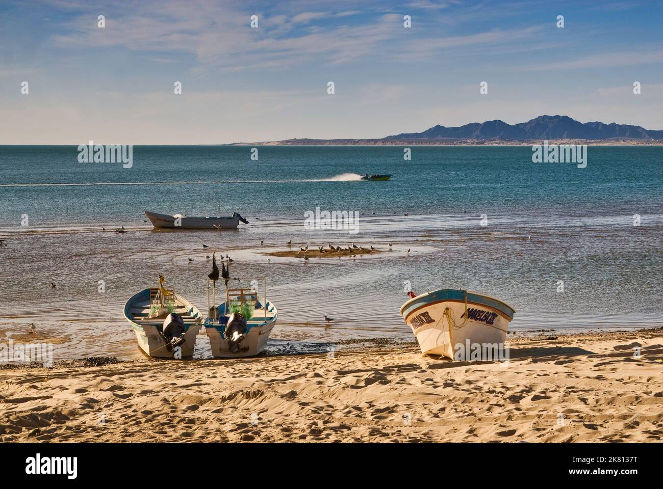 Boats on beach at Bahia de San Felipe, in San Felipe, Baja California ...