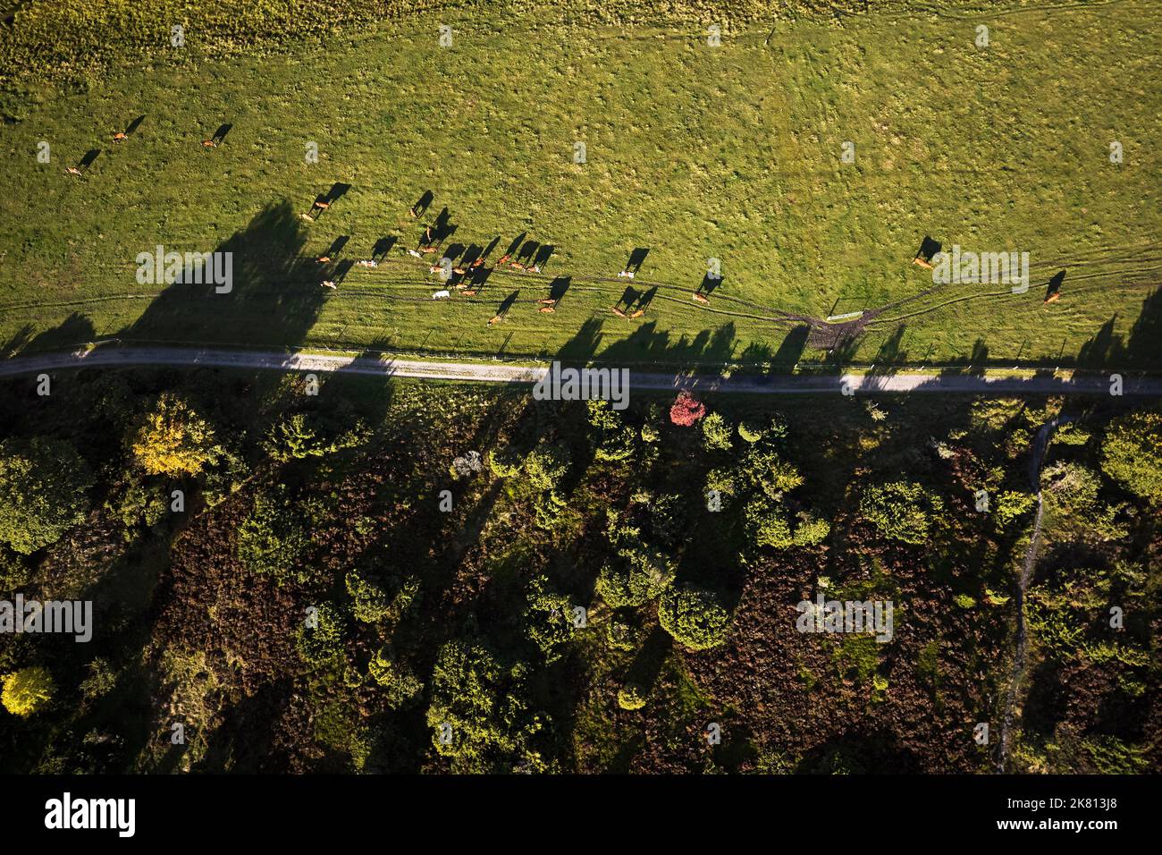 Drone going over Rebild bakker national park in denmark Stock Photo - Alamy