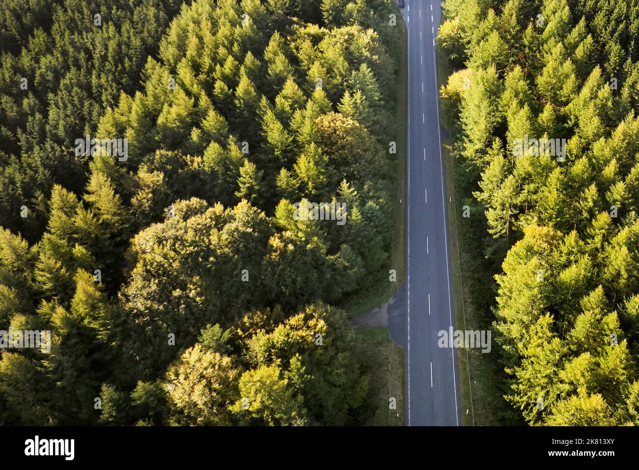 Drone going over Rebild bakker national park in denmark Stock Photo - Alamy