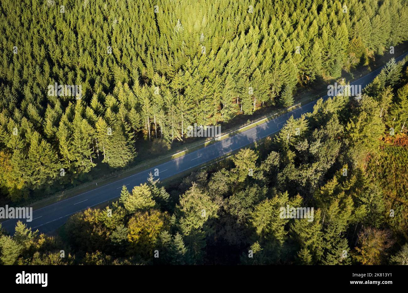 Drone going over Rebild bakker national park in denmark Stock Photo - Alamy