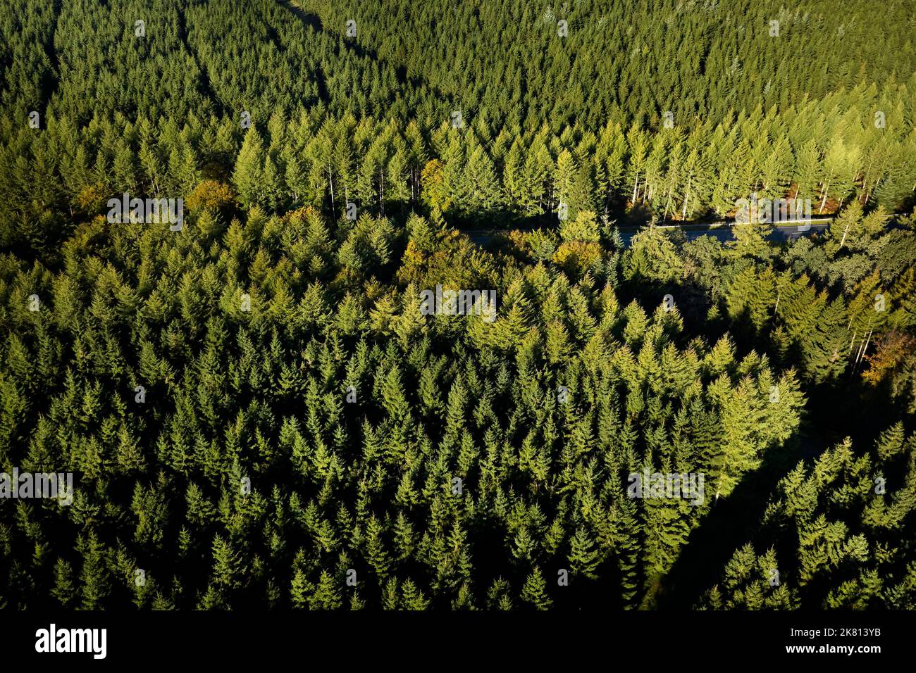 Drone going over Rebild bakker national park in denmark Stock Photo - Alamy
