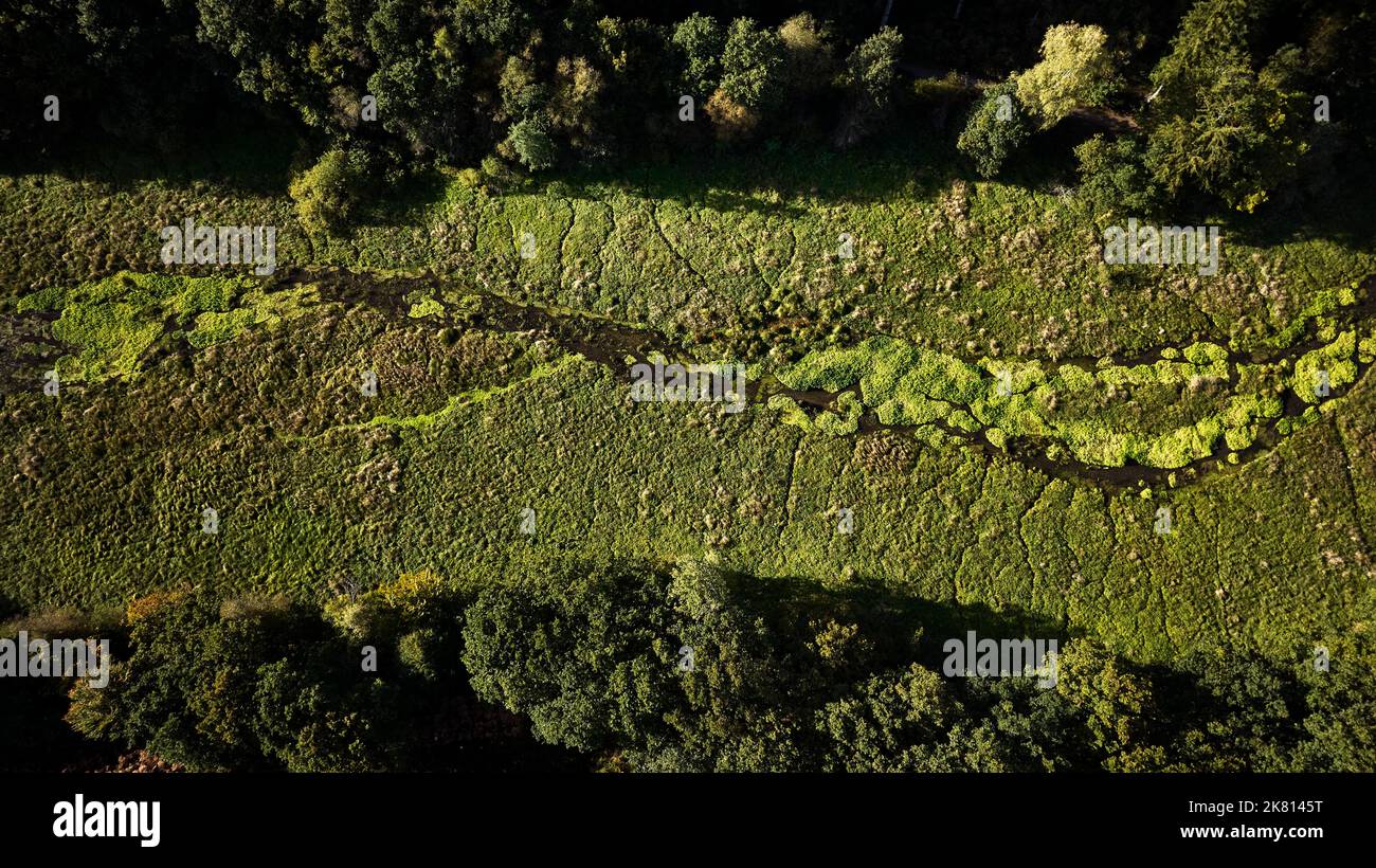 Drone going over Rebild bakker national park in denmark Stock Photo - Alamy