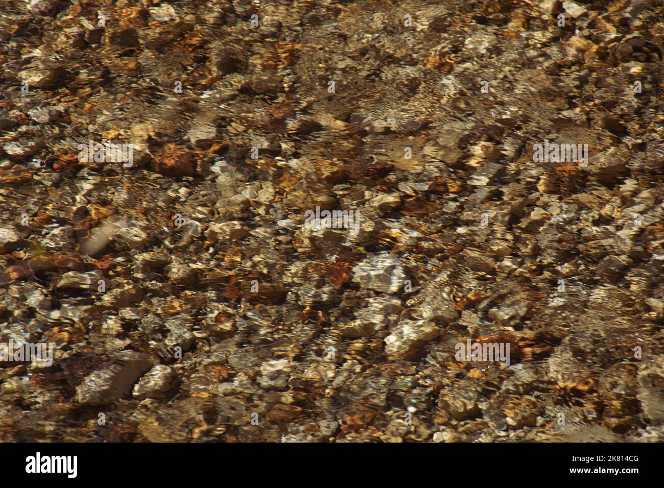 golden Stones in sparkling water with flowing water of a crystal clear ...