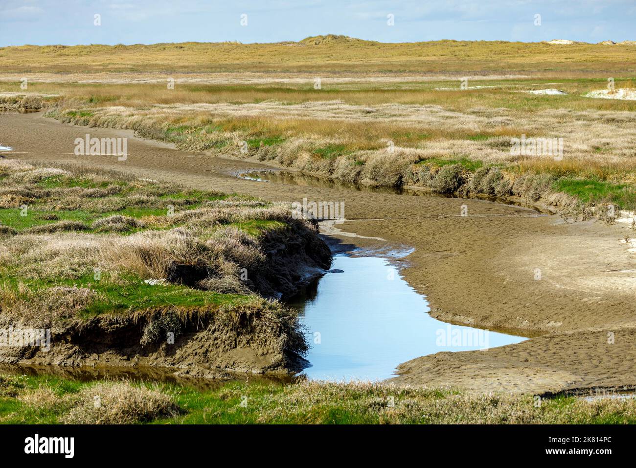 Tide pool in the salt marshes between the sandbanks and dunes in front ...