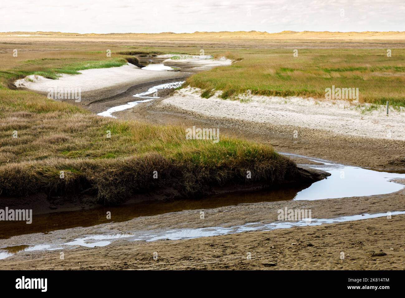 Tide pool in the salt marshes between the sandbanks and dunes in front ...