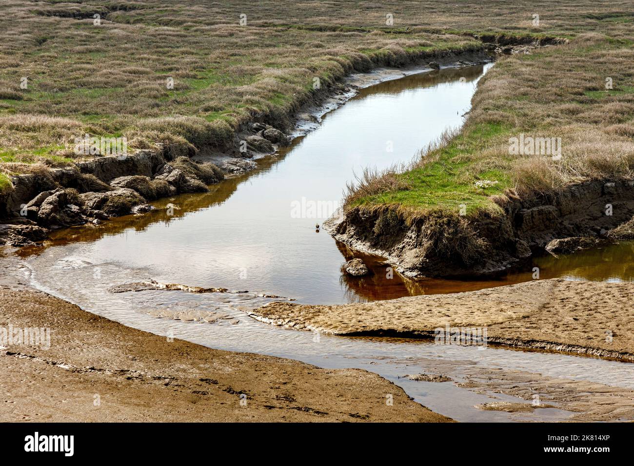 Tide pool in the salt marshes between the sandbanks and dunes in front ...