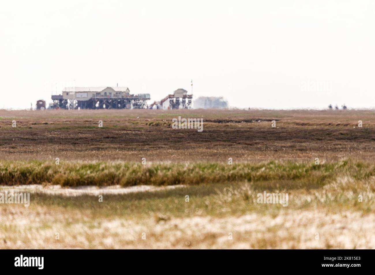 Salt marshes on the coast of Sankt Peter-Ording, in the distance the ...