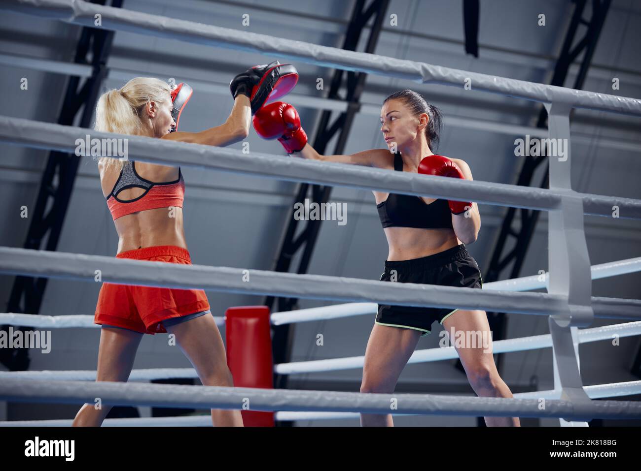 Two female professional boxers boxing at boxing ring at sport gym. Two ...