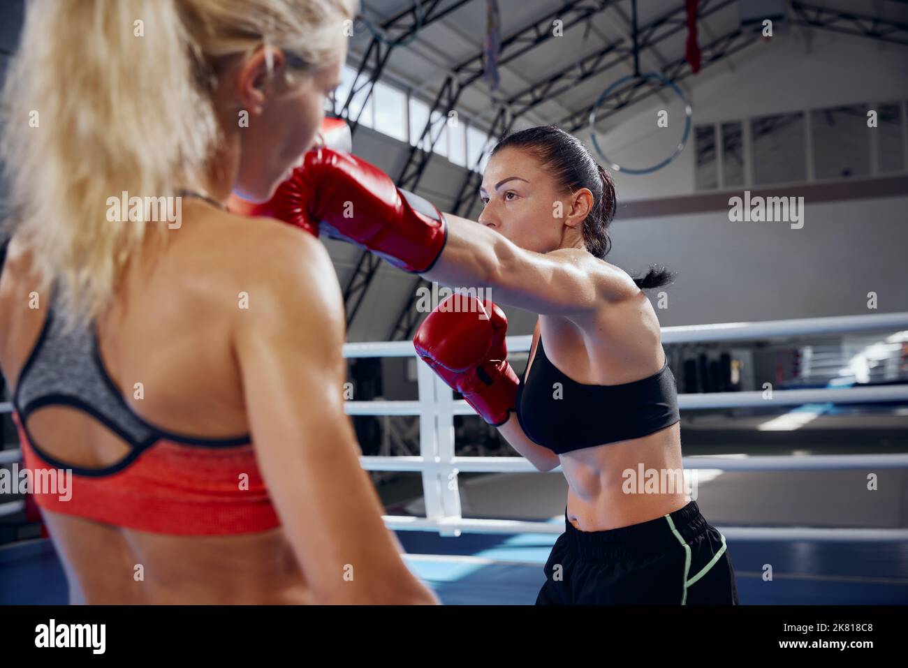 Left hook. Two female professional boxers boxing at boxing ring at sport gym. Two muscular ...
