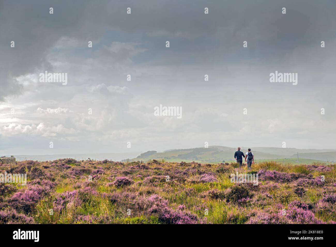 A couple walking together through the heather on Baslow Edge ...