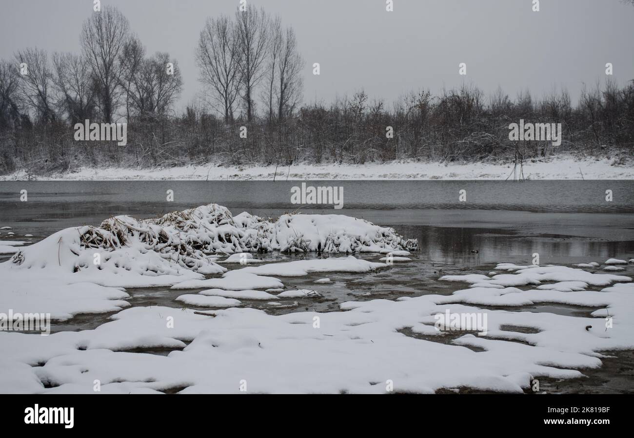 Swamp in winter, misty landscape. A panoramic view of the marsh in a ...