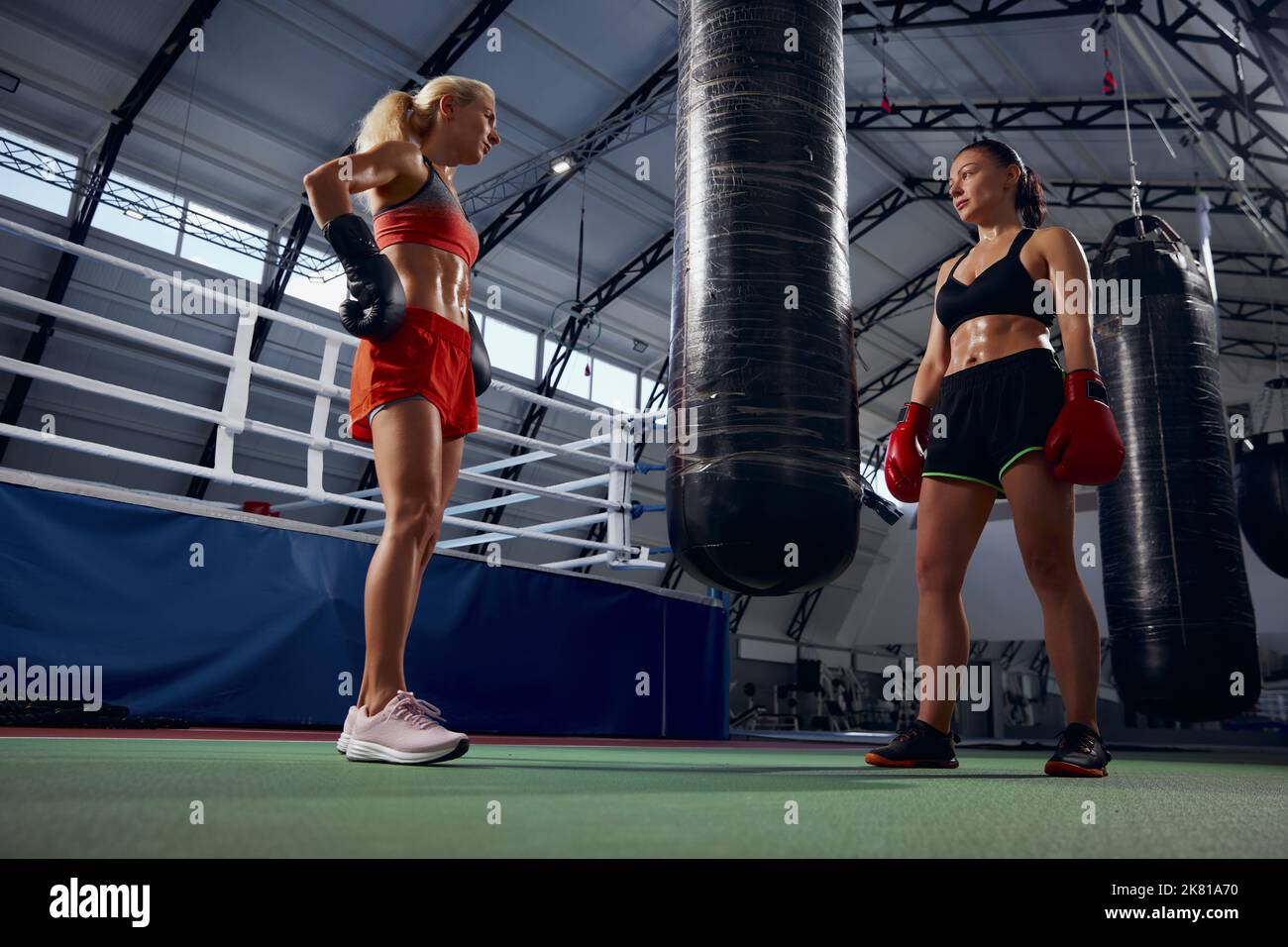 Sportive young women wearing sports uniform workout at sports gym ...
