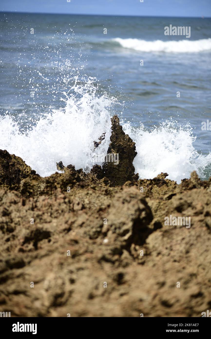 A vertical closeup shot of the splash of the ocean waves on a rocks on ...