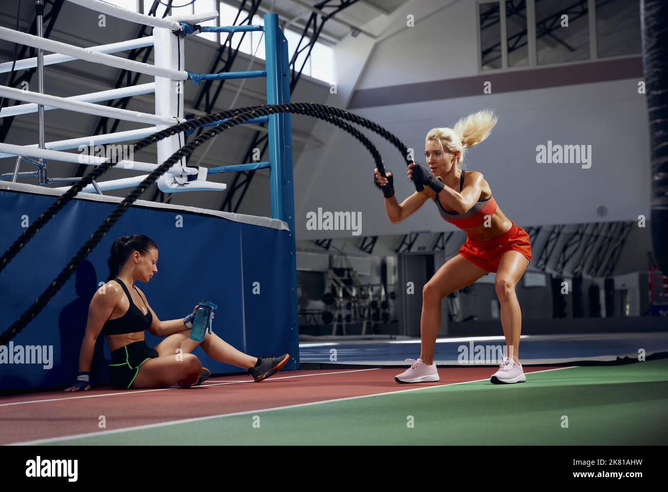 Sportive young women wearing sports uniform workout at sports gym ...