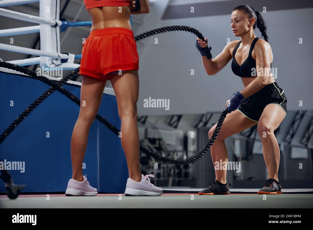 Sportive young women wearing sports uniform workout at sports gym ...