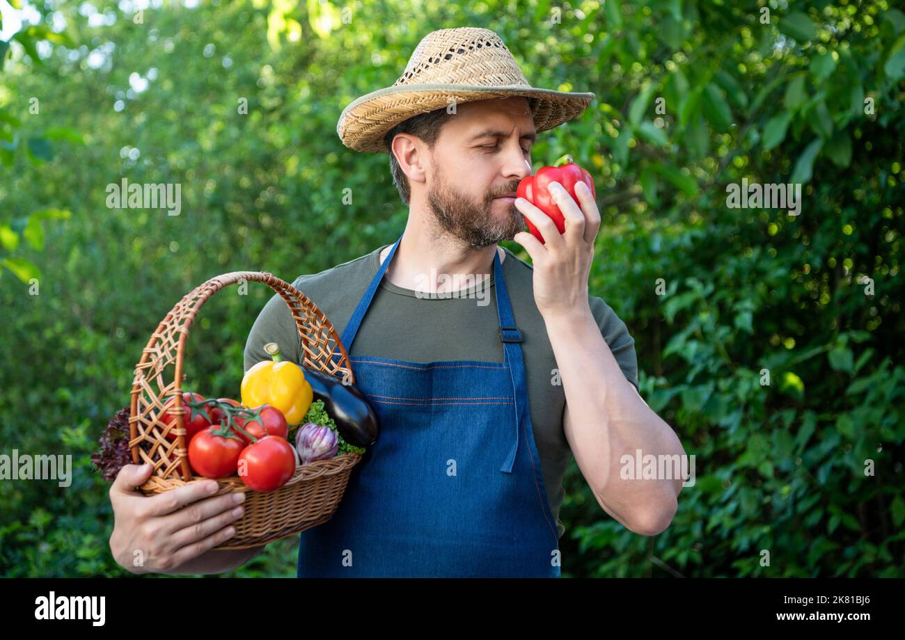 man in straw hat hold basket full of fresh vegetables Stock Photo - Alamy