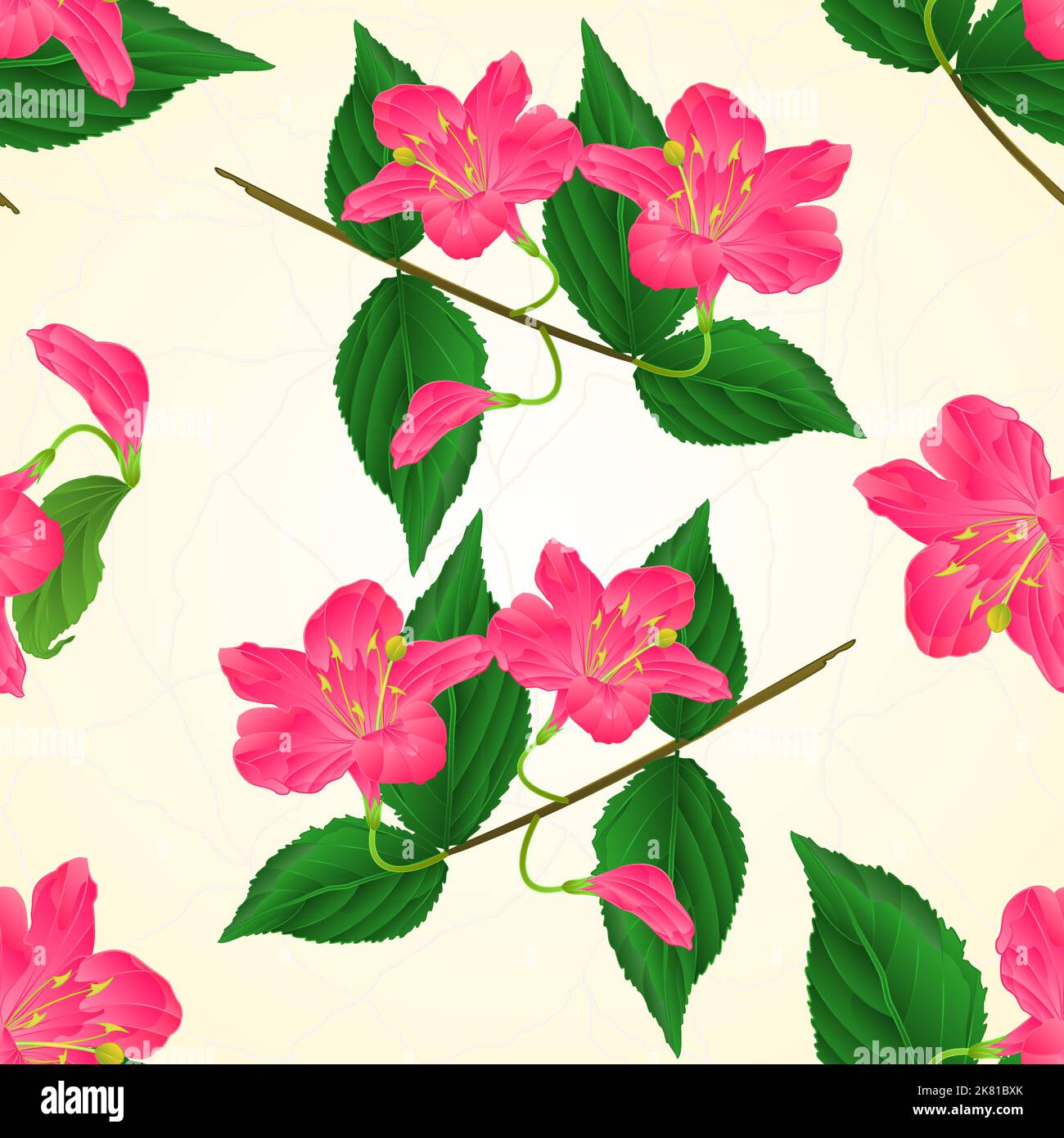 Seamless texture pink flower decorative shrub Weigela cracks vintage ...