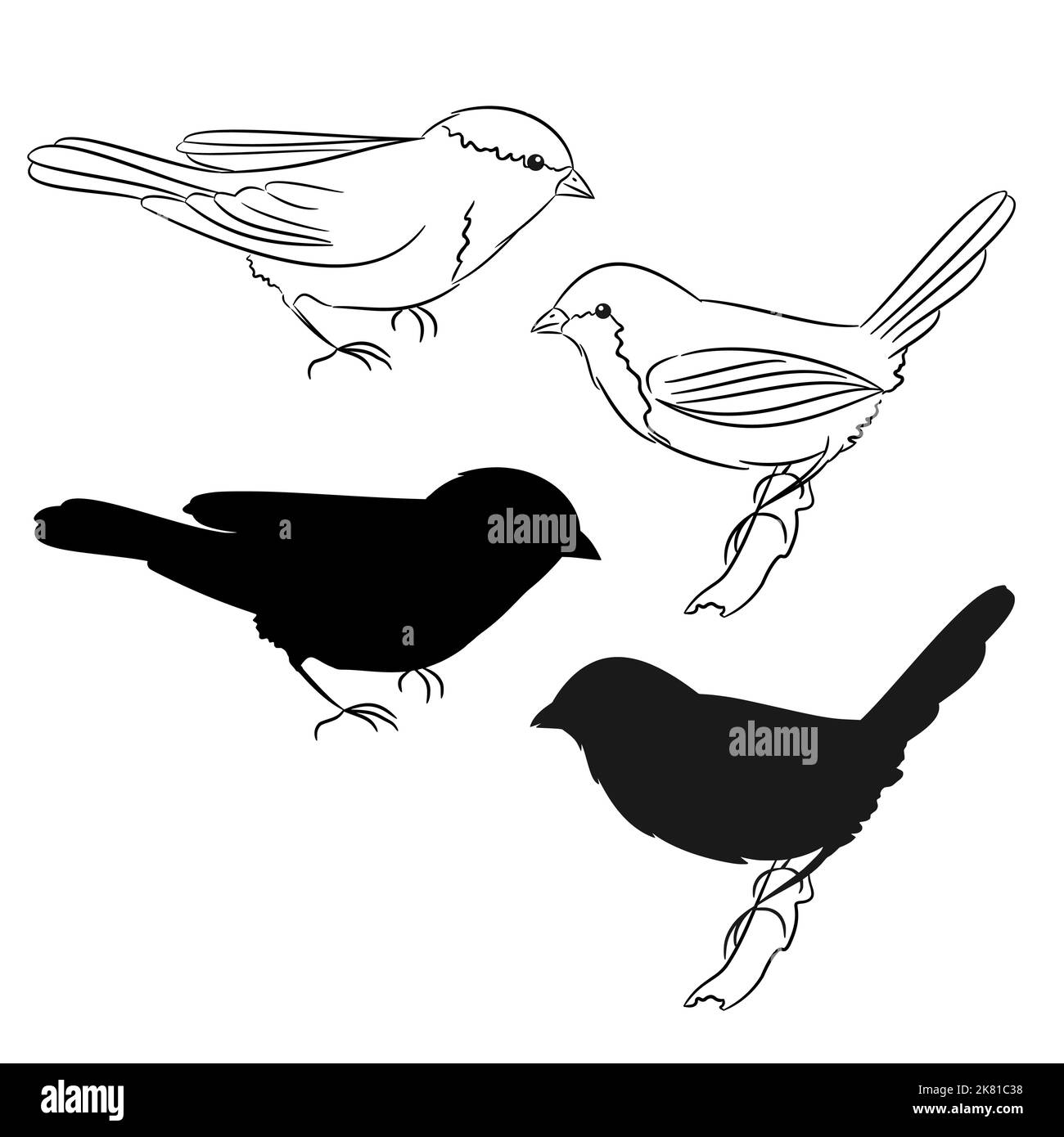 The outline and of the silhouette of the birds Set of four vector ...