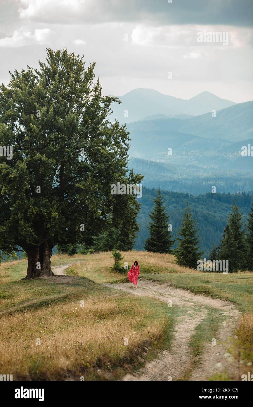 woman on the path near old big beech tree in the mountains Stock Photo ...