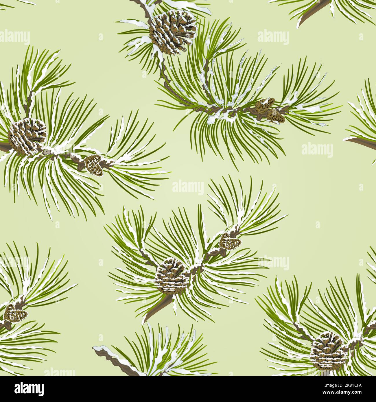 Seamless texture branch Pine tree with pine cones and snow vector ...