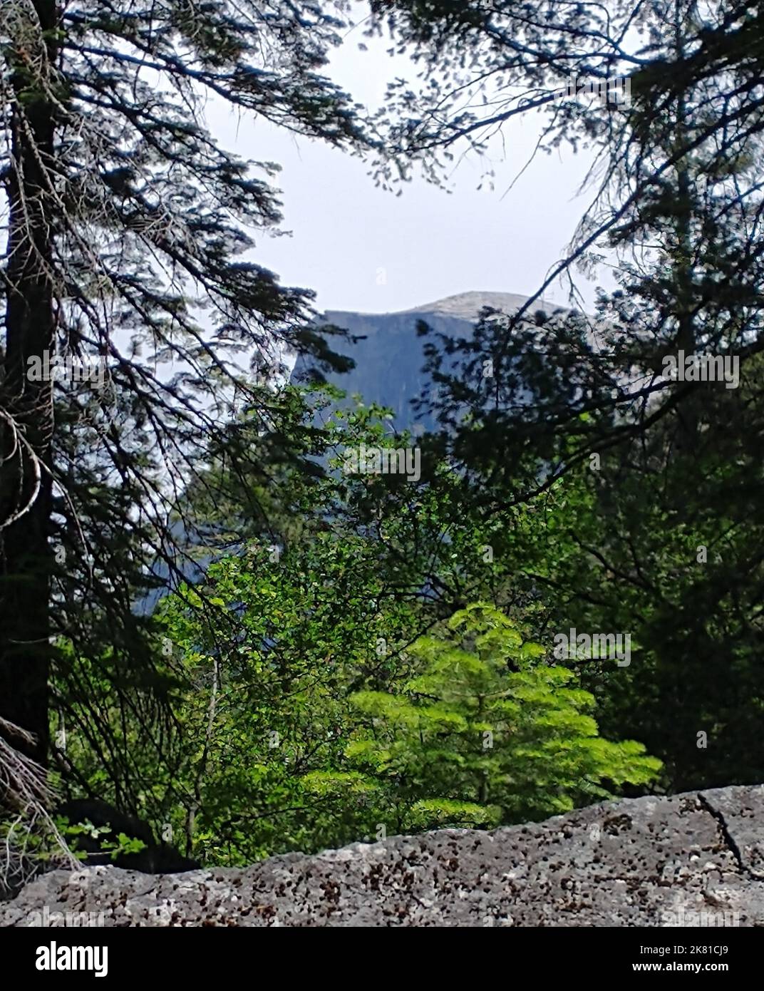 A summer landscape in Yosemite National Park. California, United States ...