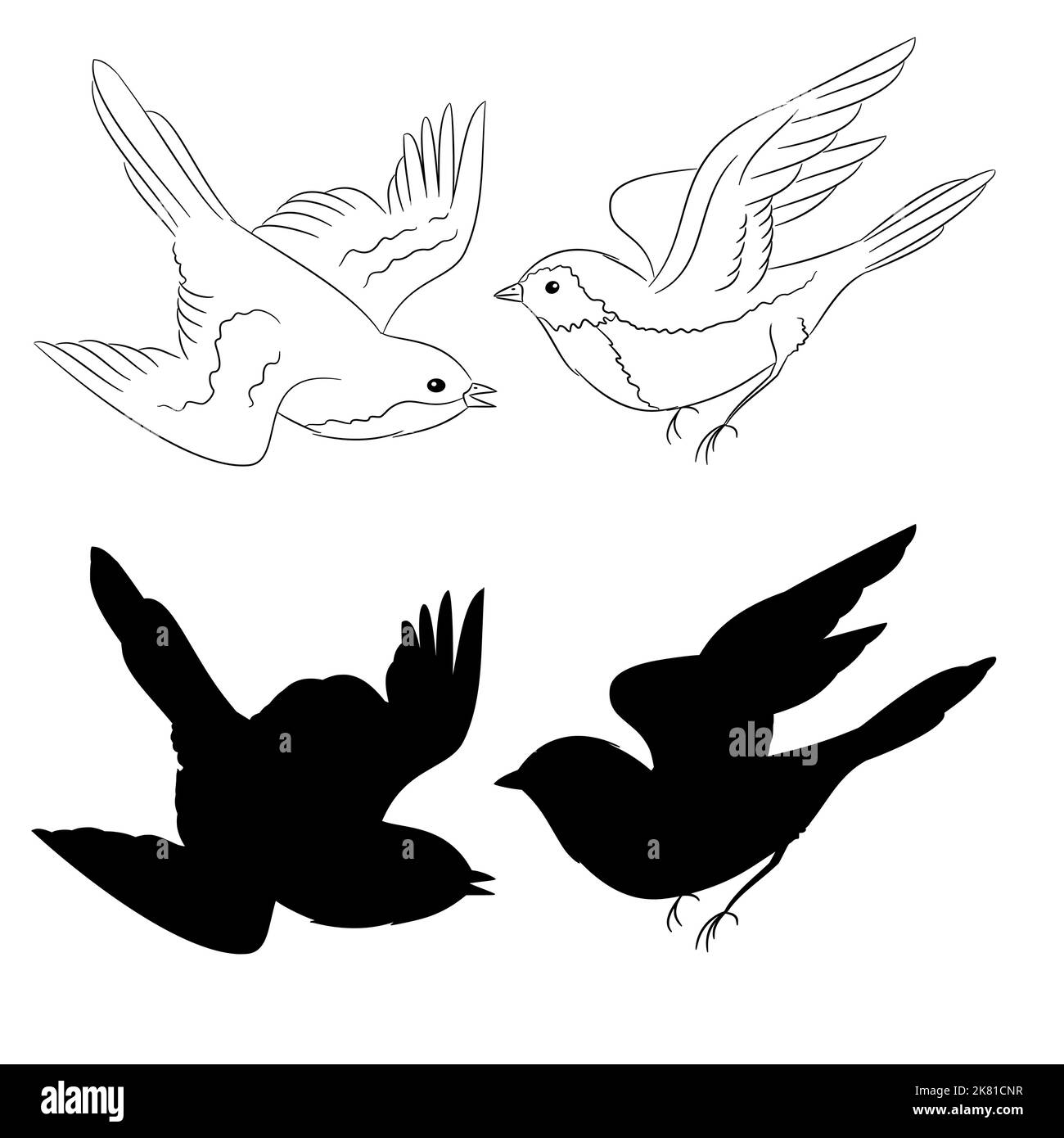 The outline and of the silhouette of the birds set of six vector ...