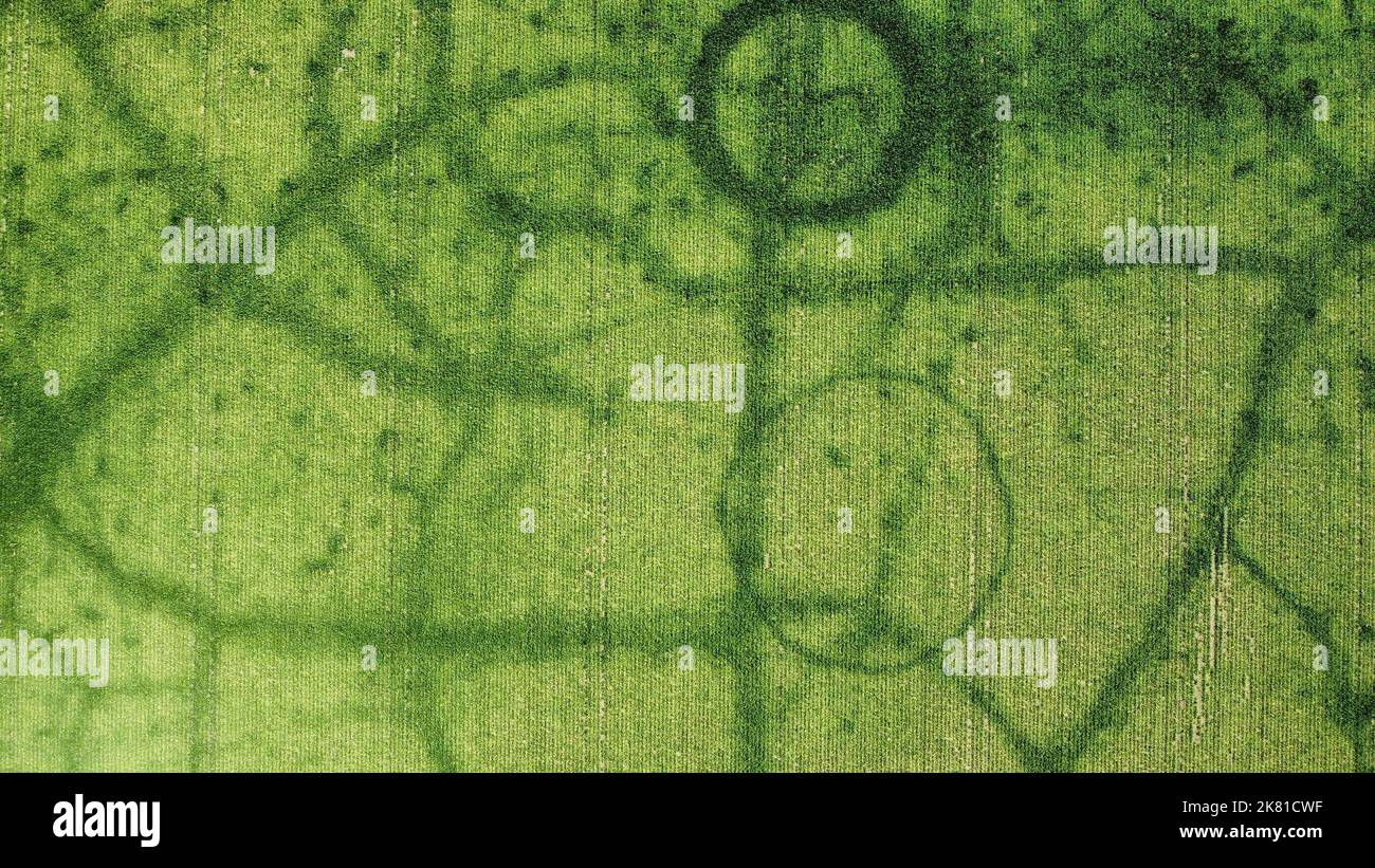 An aerial view of the strange shapes in the green Suffolk field Stock ...