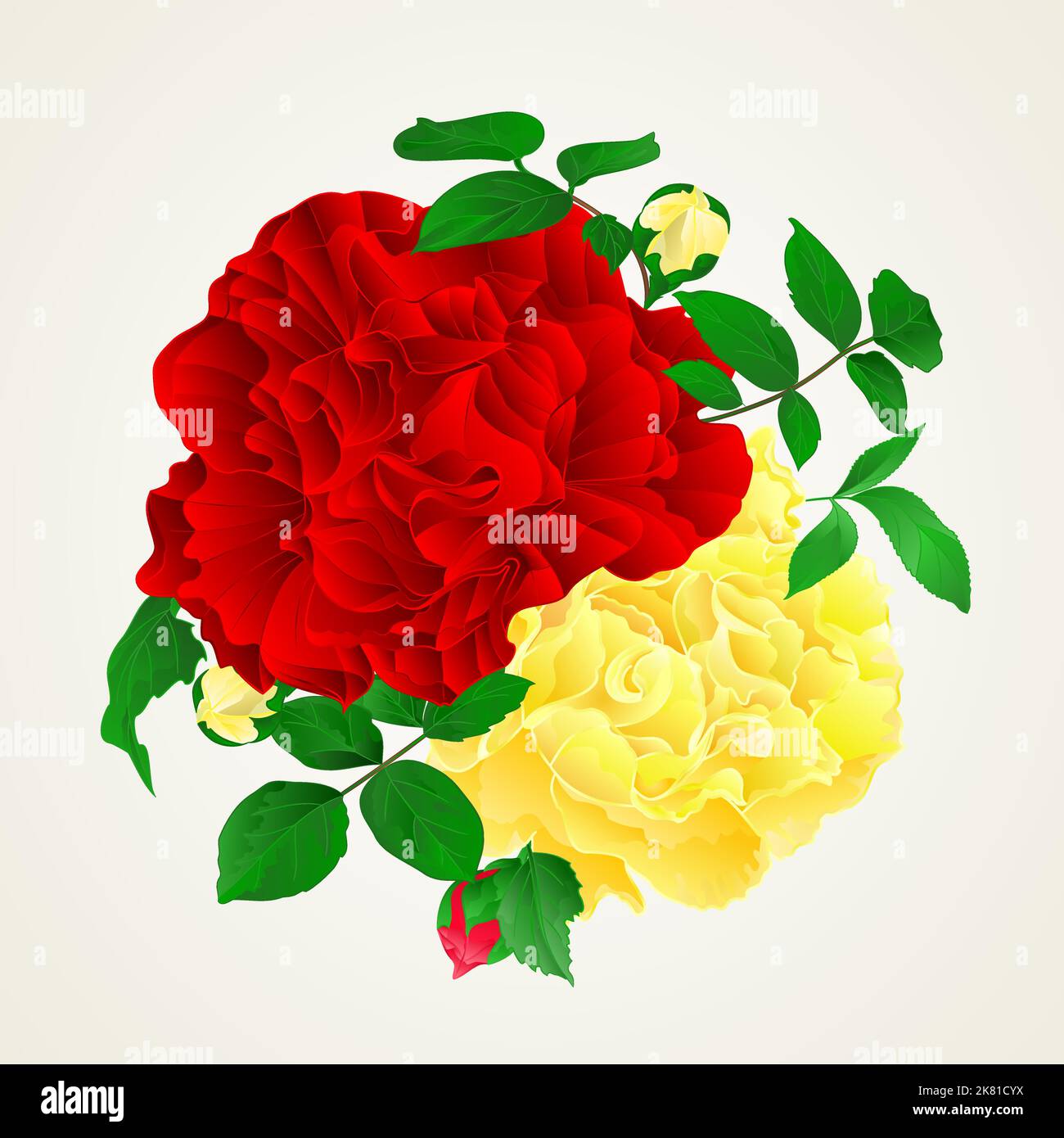 Red and yellow rose with buds and leaves vintage Festive background ...