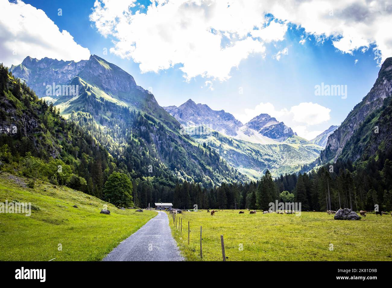 The beautiful view of the green valley and mountains Stock Photo - Alamy