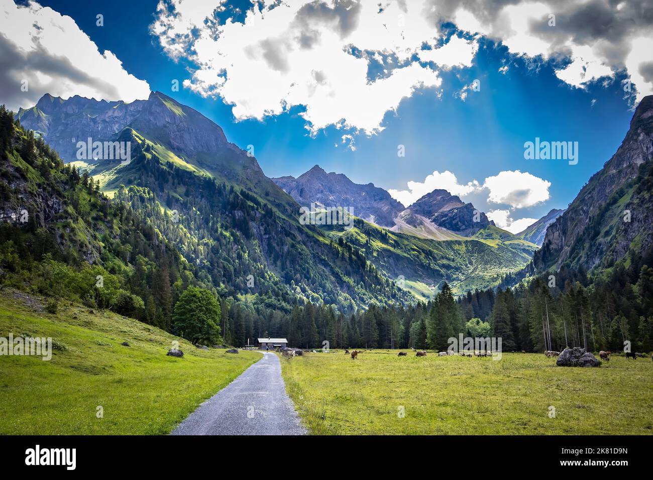 The beautiful view of the green valley and mountains Stock Photo - Alamy
