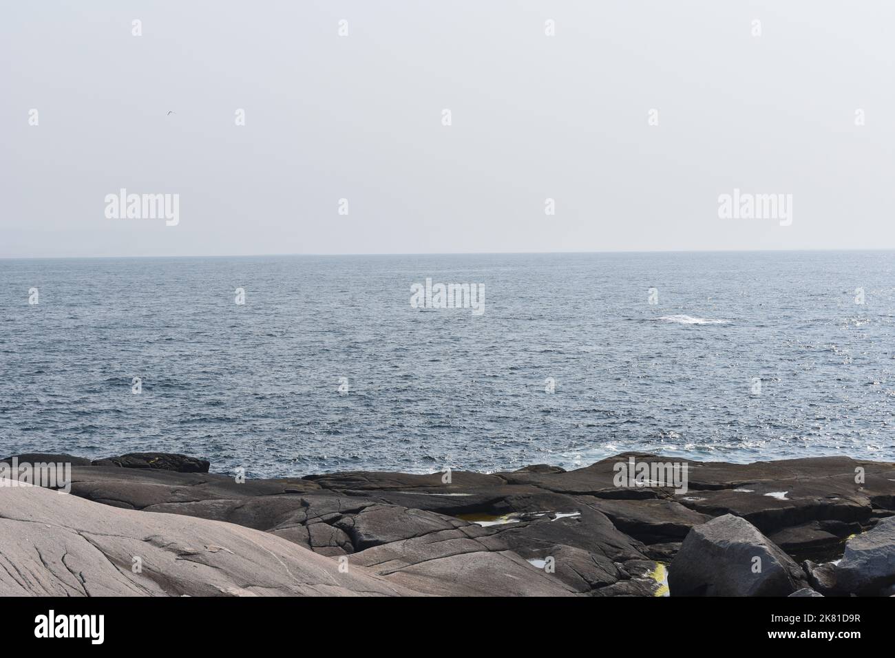 A scenic shot of a wavy sea surface for cool background Stock Photo - Alamy
