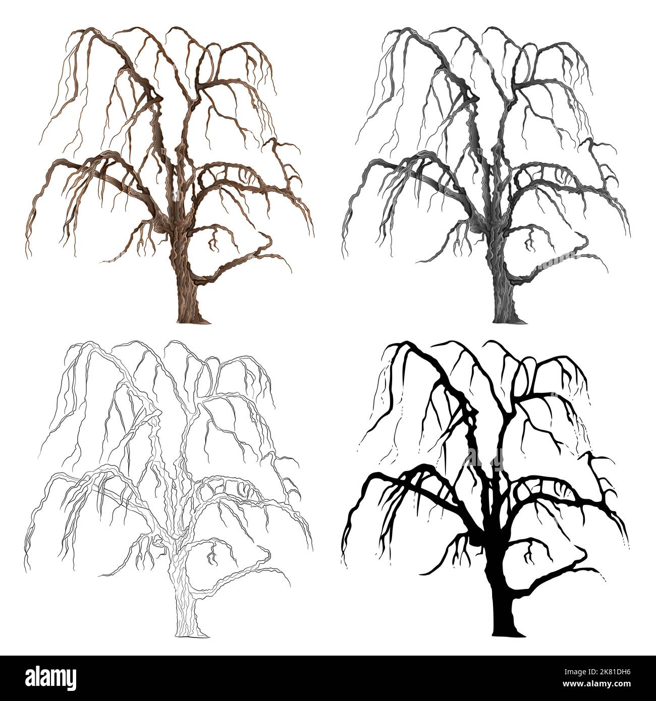 Old tree willow color black and white contour of the silhouette vector Stock Vector Image & Art ...