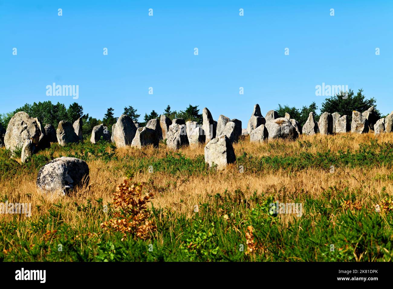 Carnac Brittany France. The neolithic menhir standing stones Stock ...
