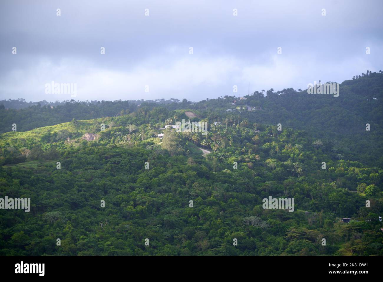 A beautiful view of dense mountain forest against a cloudy sky Stock ...