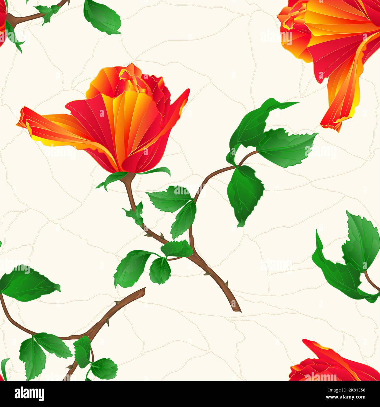 Centifolia rose Stock Vector Images - Alamy
