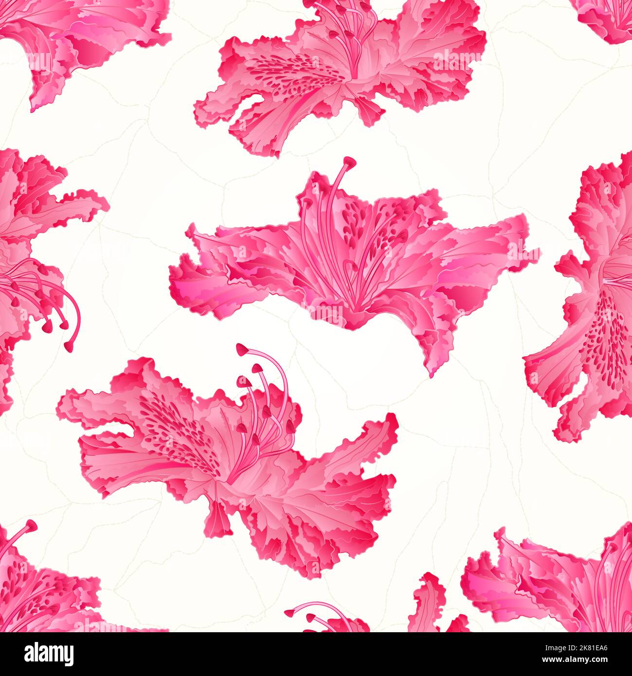 Seamless texture rhododendrons pink flowers Mountain shrub cracks ...