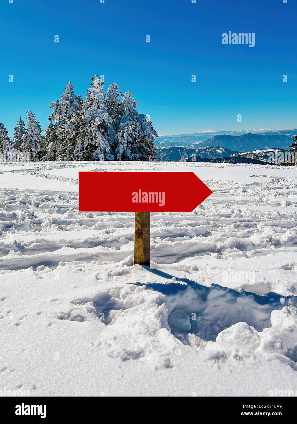 Direction and guidance sign in pine wood forest covered in snow in ...