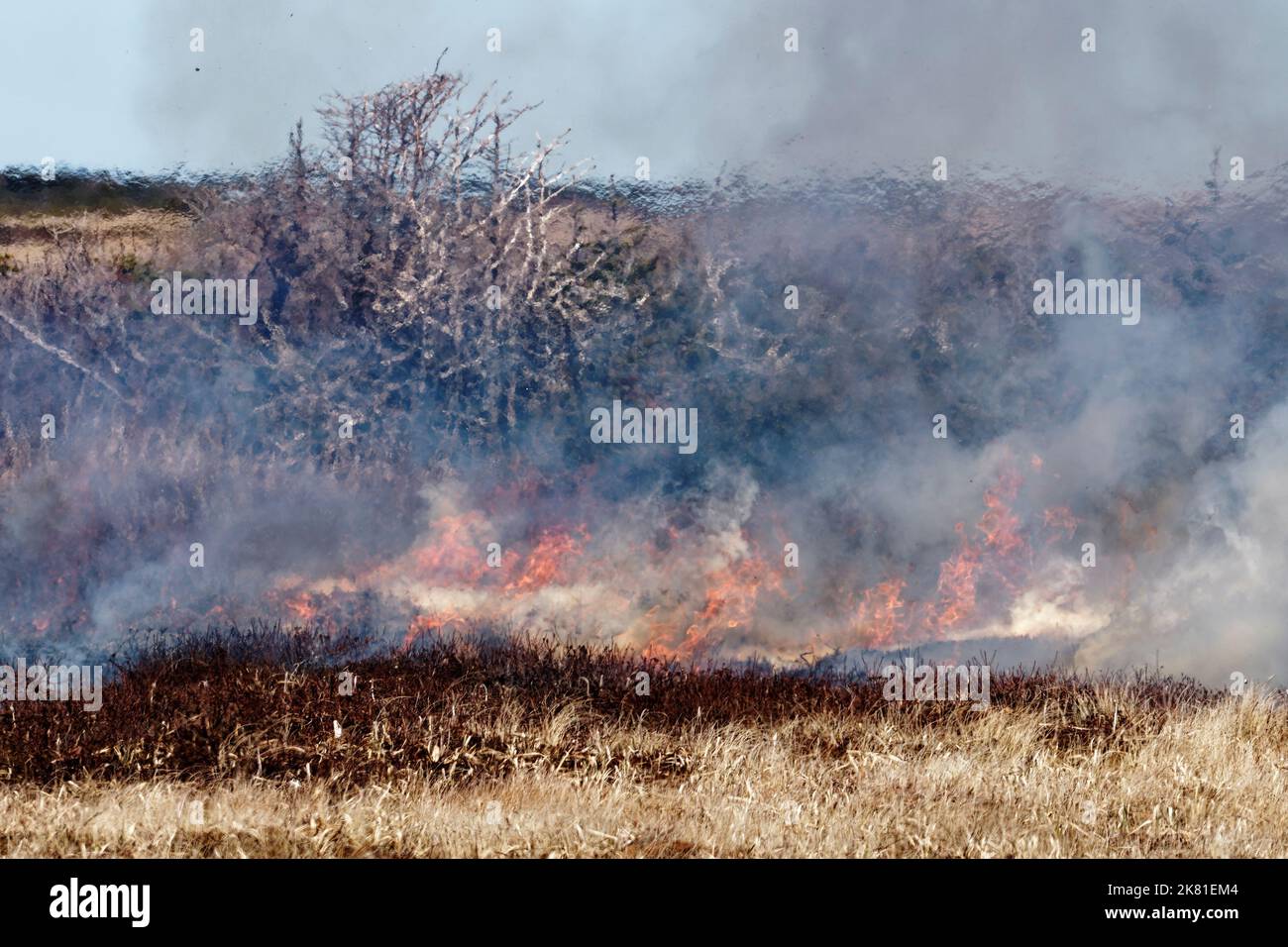 Fluxes hi-res stock photography and images - Alamy