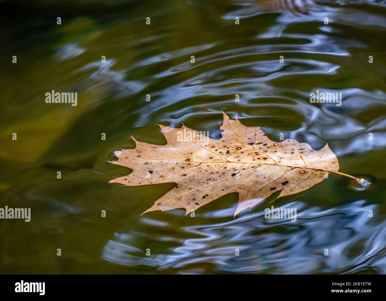 Water floating in space hi-res stock photography and images - Alamy