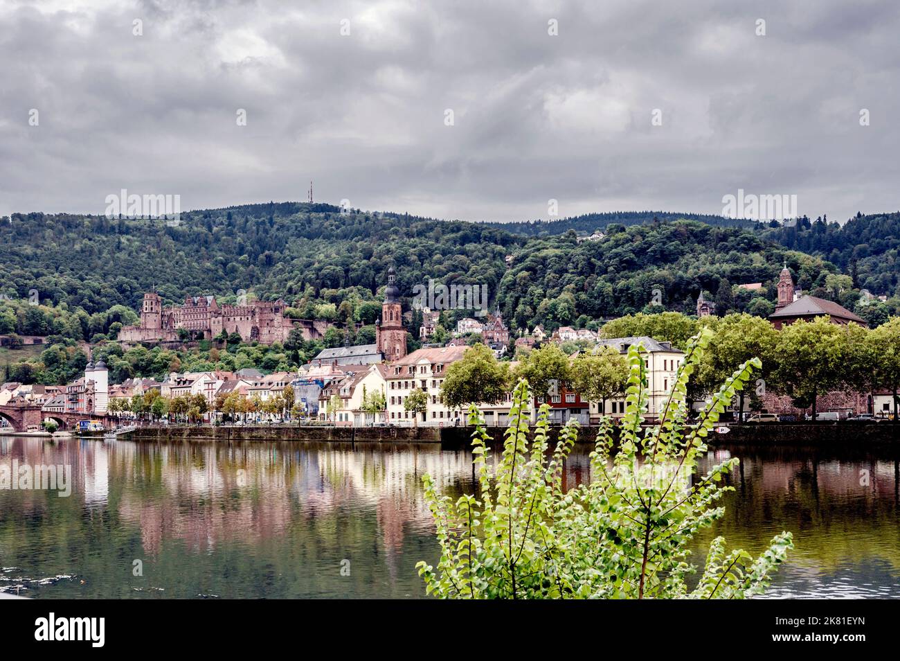 Heidelberg (Baden-Wuerttemberg, Germany). Schloss Heidelberg oberhalb ...