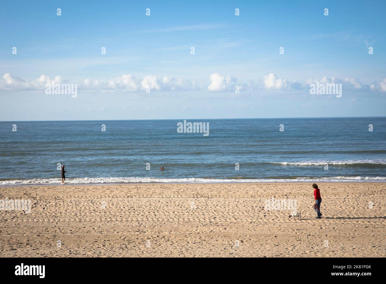 walkers on the beach in Oostkapelle on the peninsula Walcheren, Zeeland ...