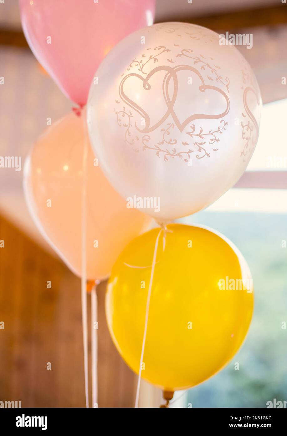 Many colorful balloons in wedding ceremony indoor Stock Photo - Alamy