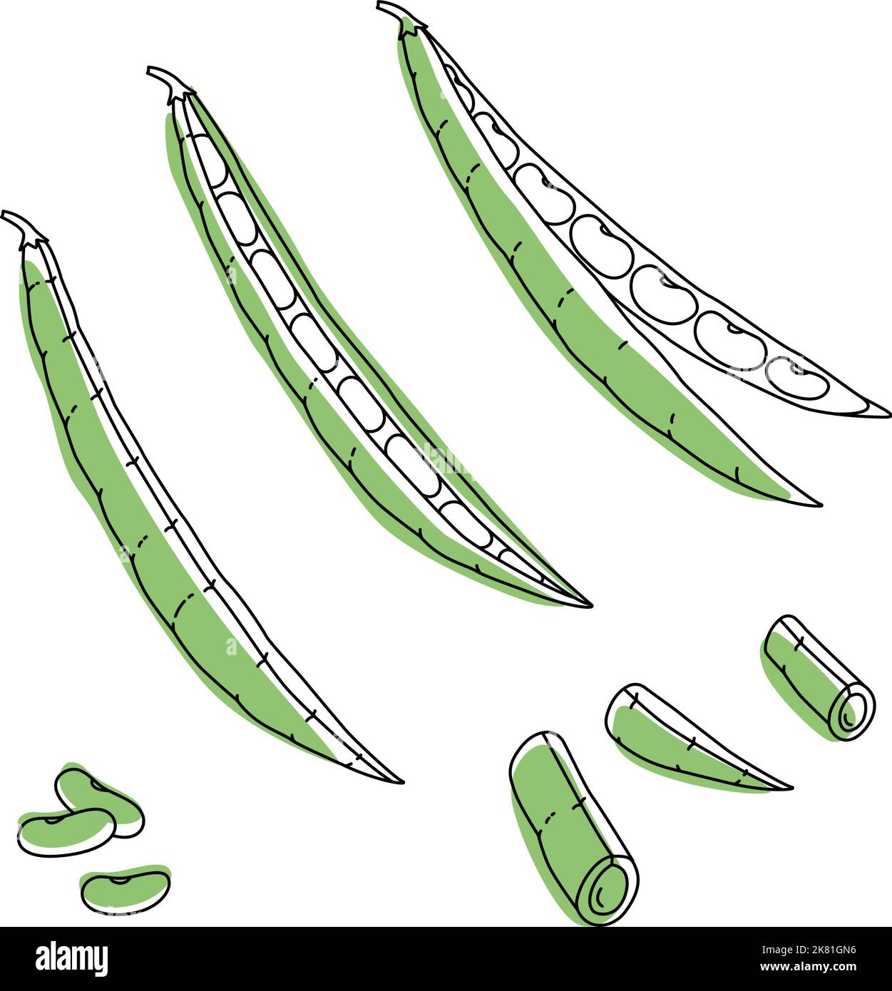 Set doodle outline green bean with spot. Vector hand-drawn illustration ...