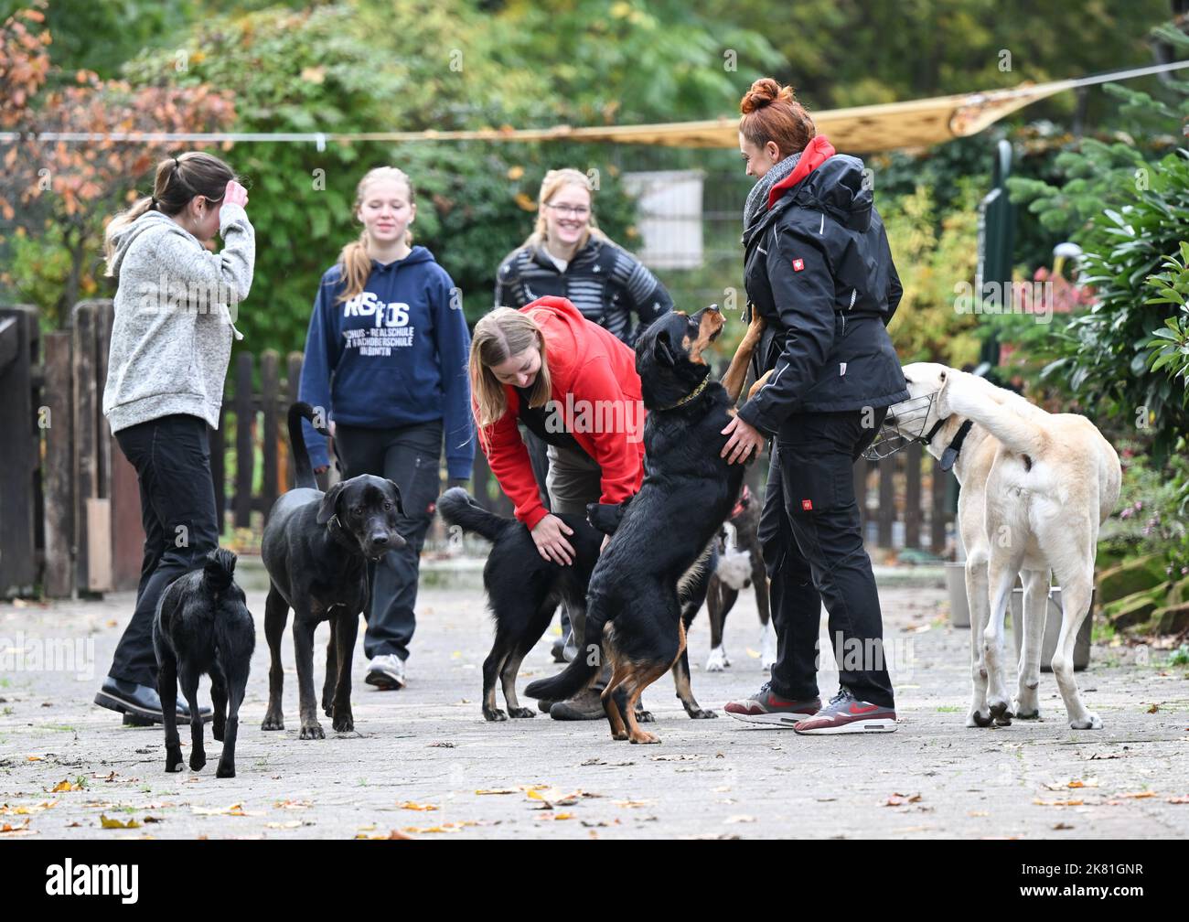 Ingelheim, Germany. 20th Oct, 2022. Shelter manager Alexandra Blau (r-l ...