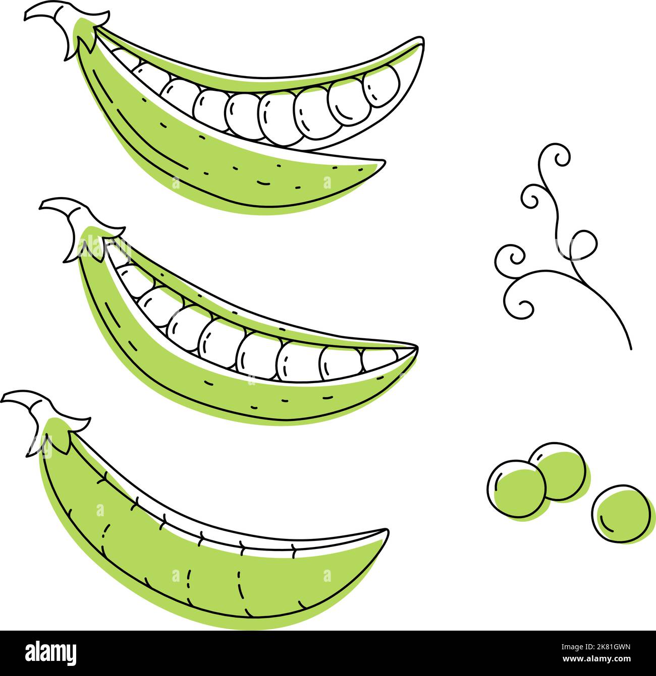 Set doodle outline green pea with spot. Vector hand-drawn illustration ...